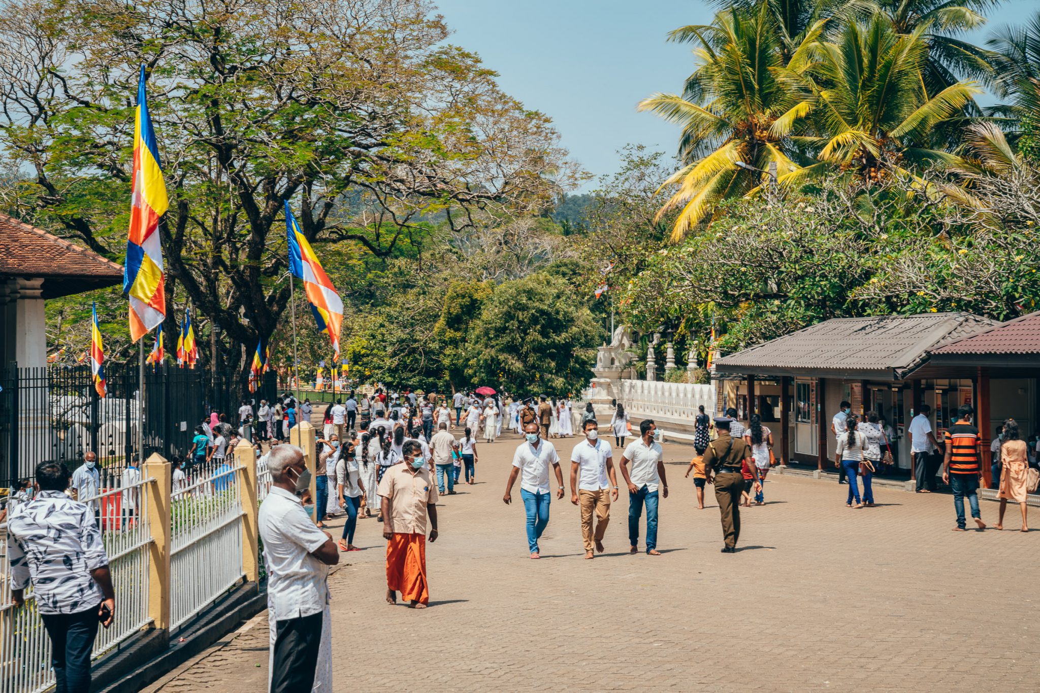 Letters from Sri Lanka: All the Secrets of the Temple of the Sacred ...