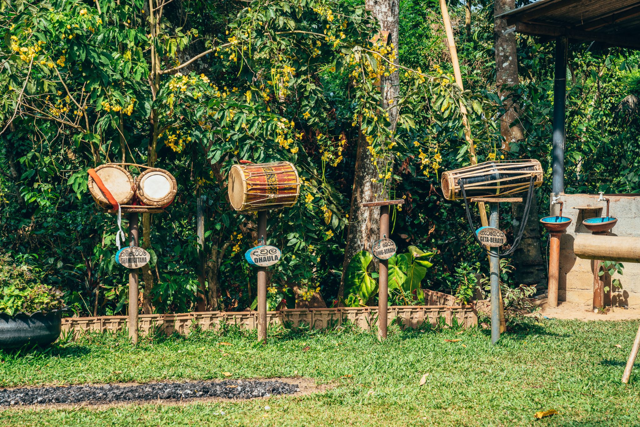 Letters from Sri Lanka: Kandyan Dance, a Unique Example of Sinhalese ...