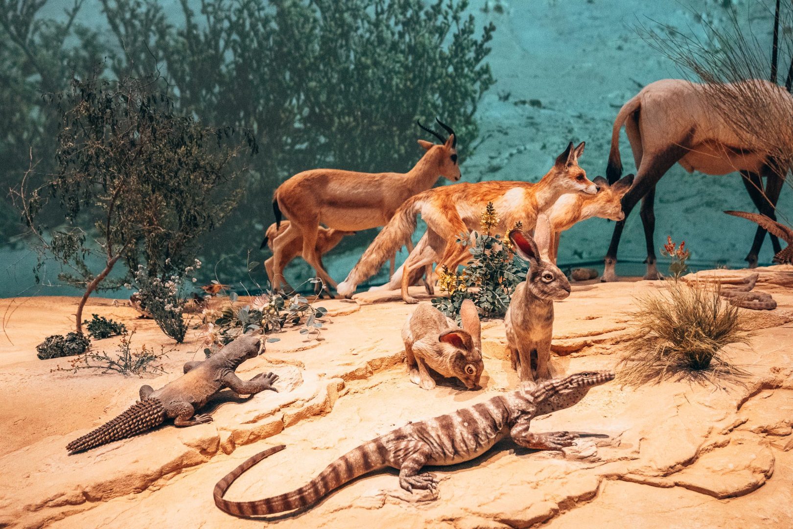 Letters from Qatar: The National Museum, a modern landmark that invites ...