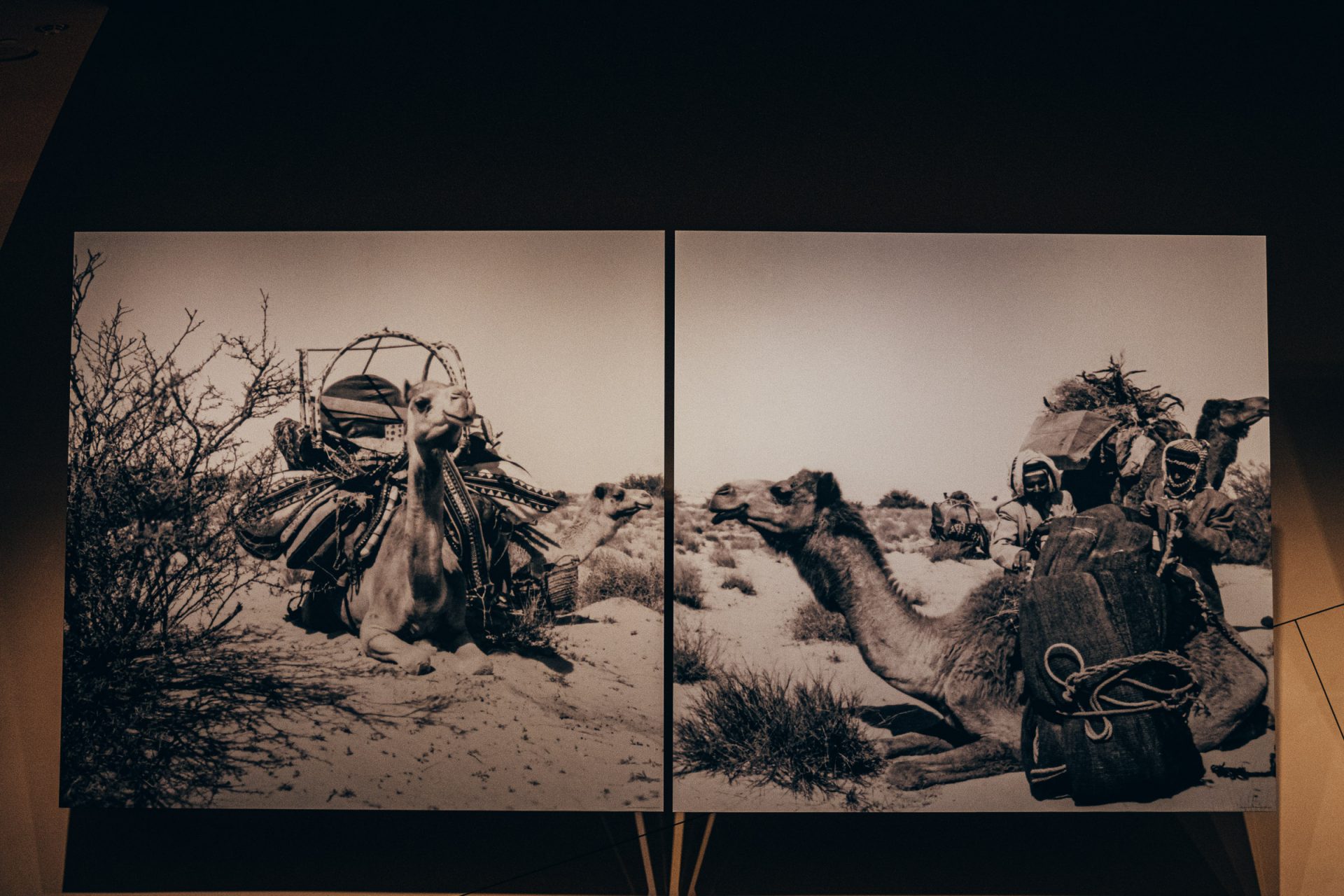 Letters from Qatar: The National Museum, a modern landmark that invites ...