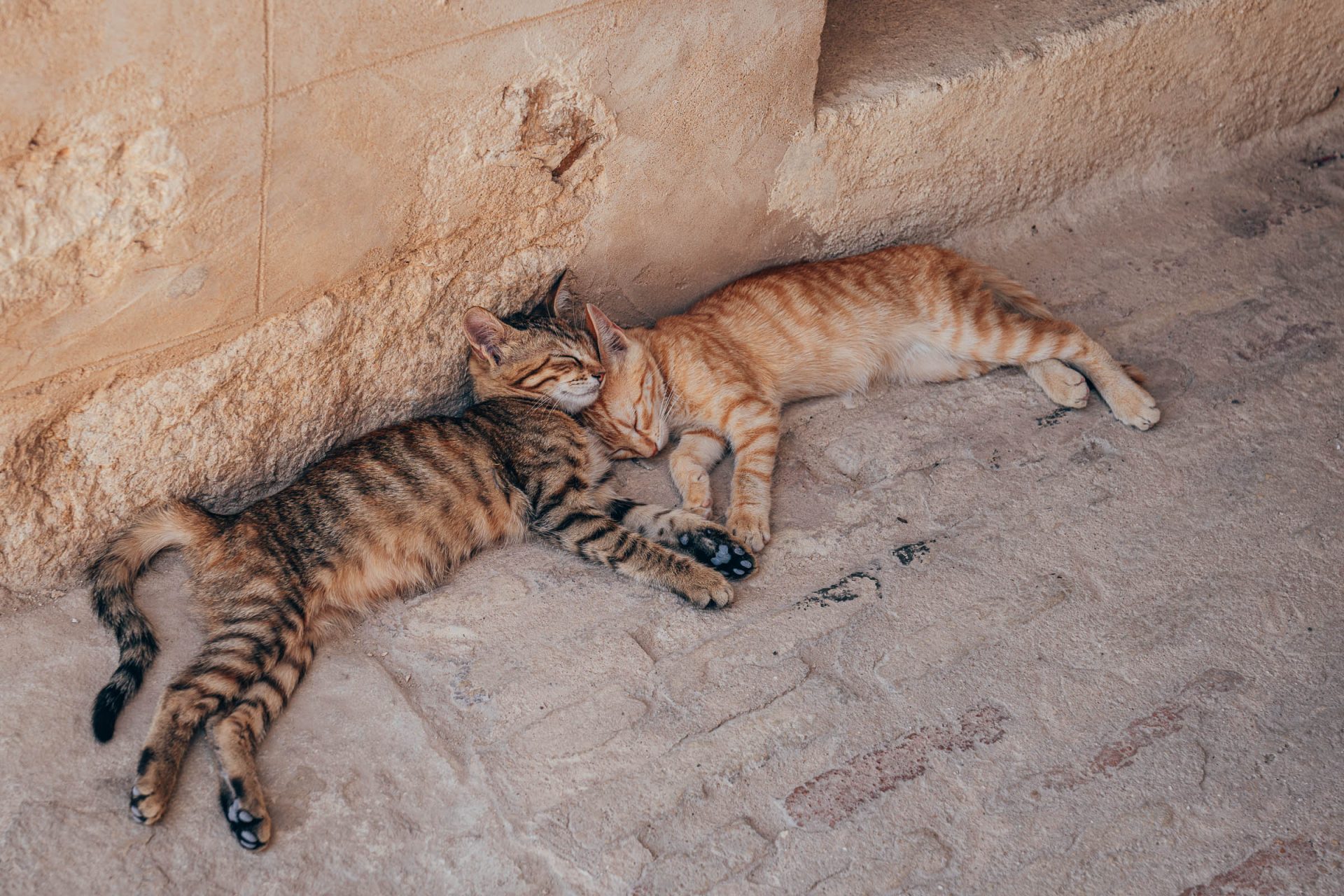 Letters from Tunisia: Kairouan, the holiest Muslim City on the African ...