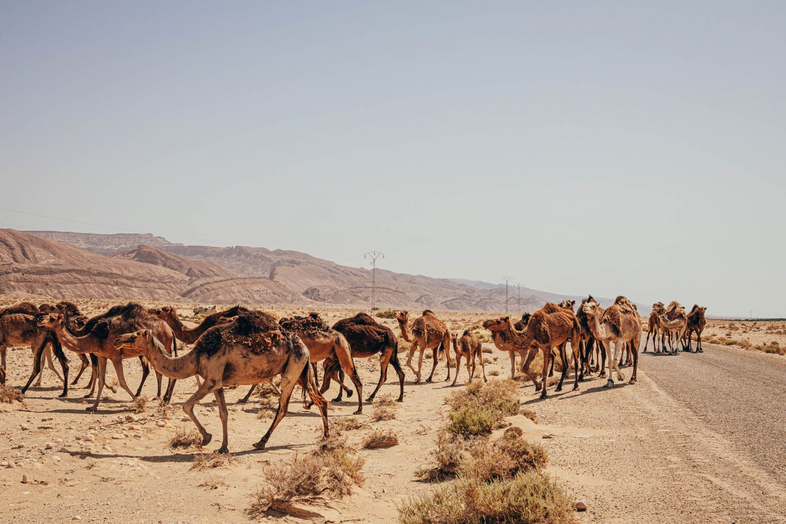 Letters from Tunisia: The Sahara, Oasis of Chebika and Nefta, the lost ...