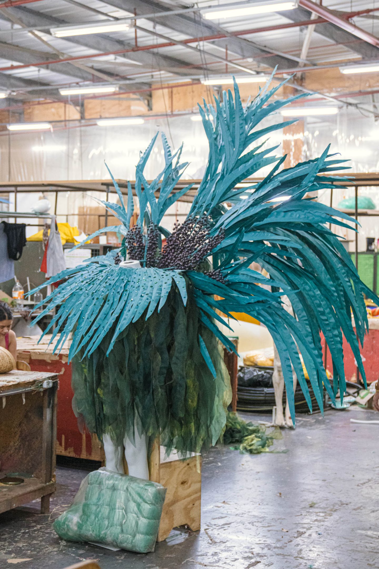 Letters from Brazil: Rio Carnival, Discover the Magic of the Biggest ...